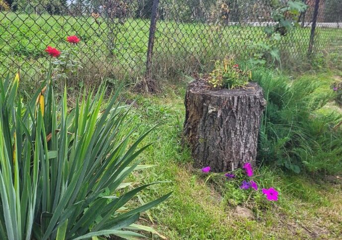 Карєрний ріст казкові доходи кохання подароване небесами Одним словом удача поруч з цими