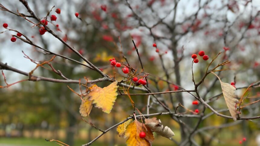 26 жовтня 2022 року день не сказати щоб простий Але ця середа обрала трьох знаків Зодіаку
